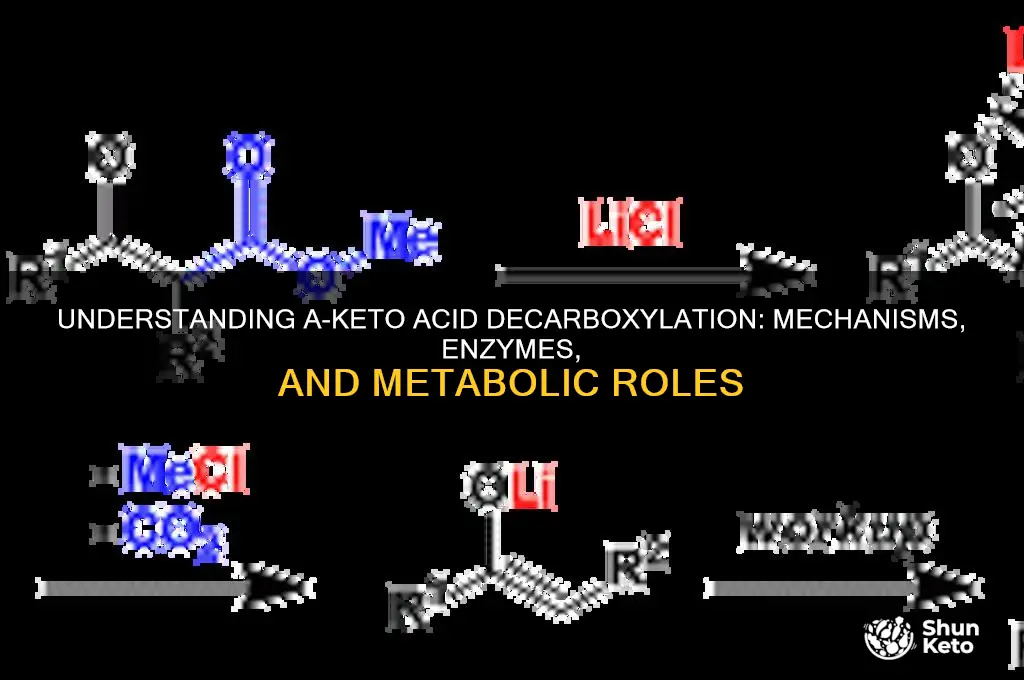 Understanding A-Keto Acid Decarboxylation: Mechanisms, Enzymes, And ...