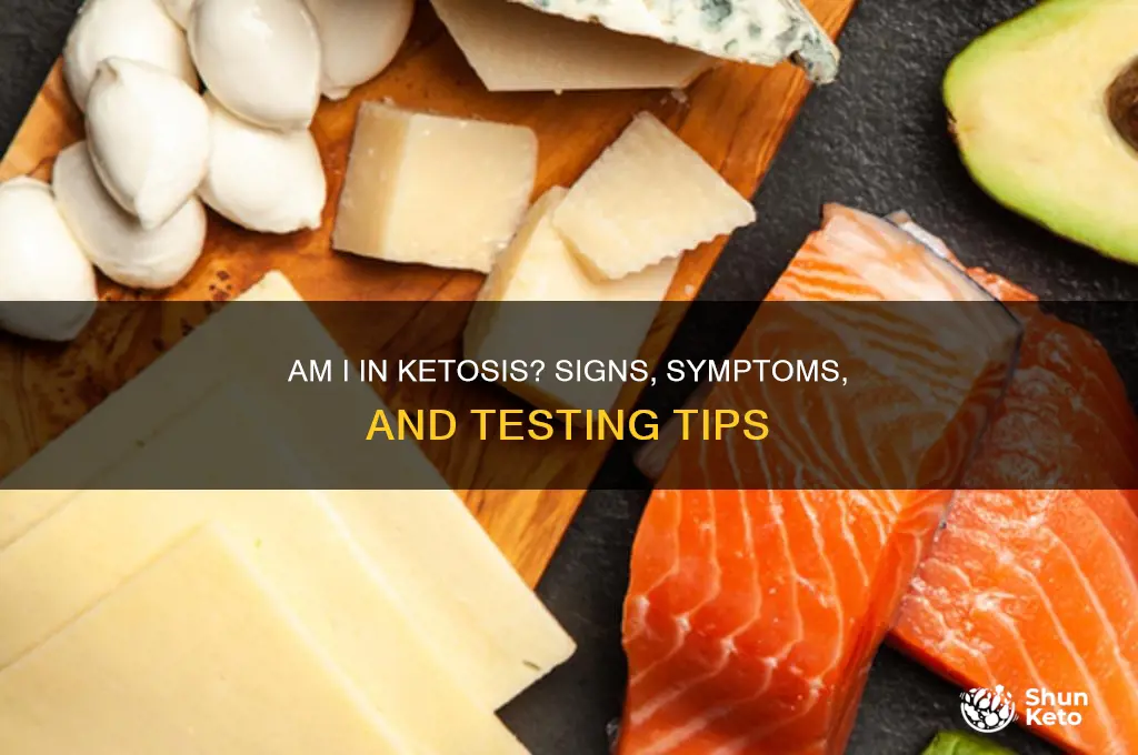 Am I In Ketosis? Signs, Symptoms, And Testing Tips | ShunKeto