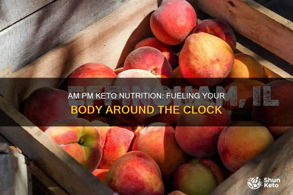 Am Pm Keto Nutrition: Fueling Your Body Around The Clock | ShunKeto