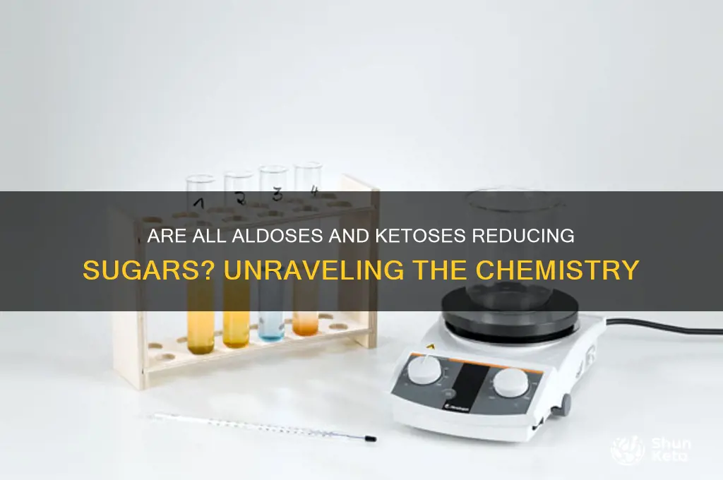 Are All Aldoses And Ketoses Reducing Sugars? Unraveling The Chemistry ...