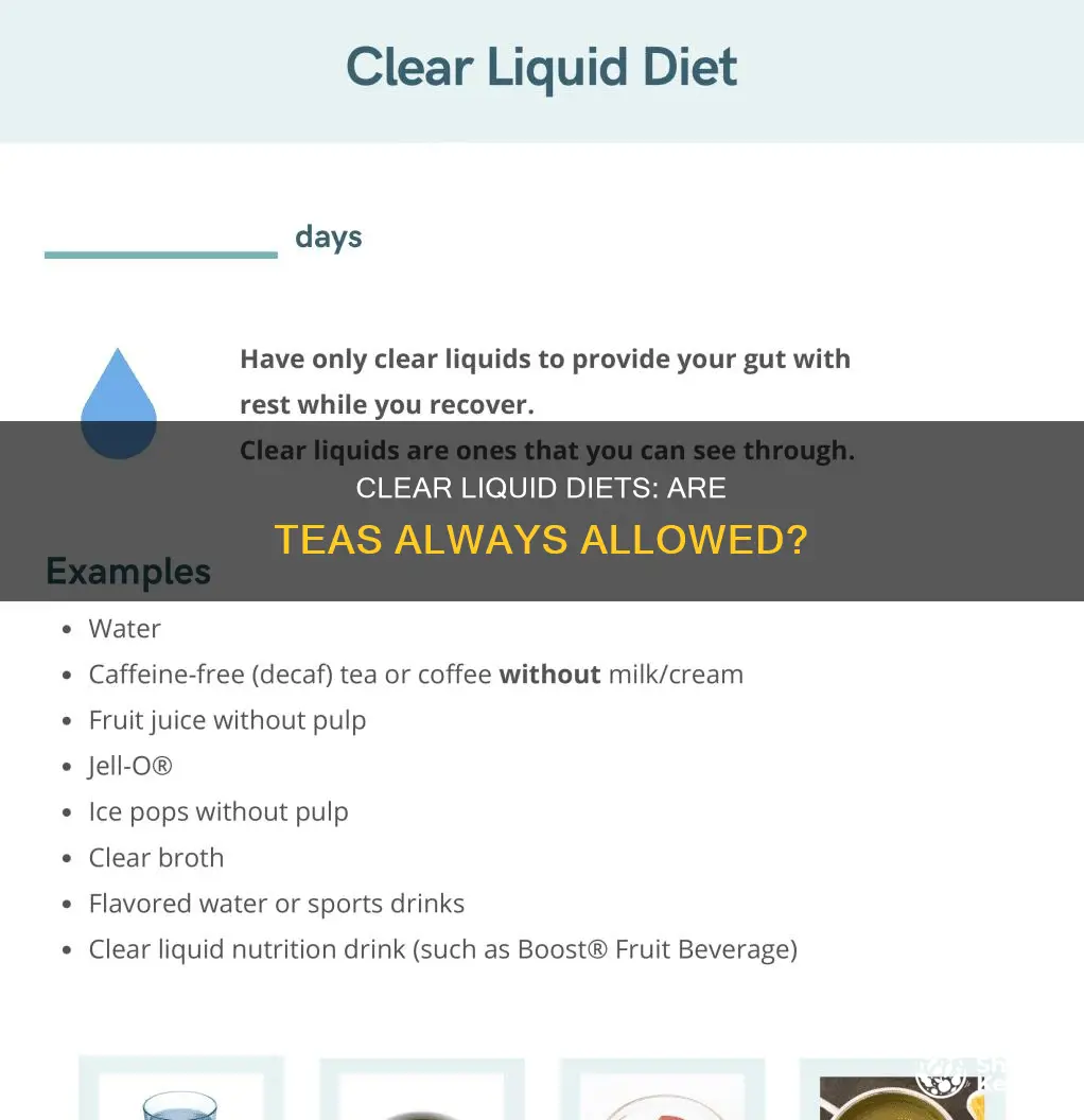 Clear Liquid Diets: Are Teas Always Allowed? | ShunKeto
