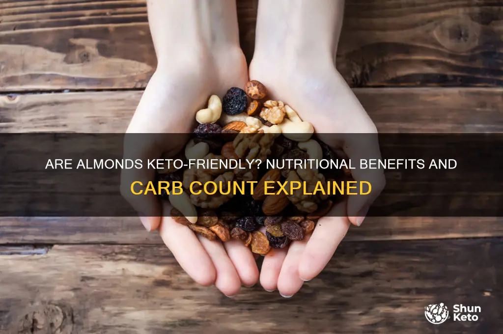 Are Almonds Keto-Friendly? Nutritional Benefits And Carb Count ...