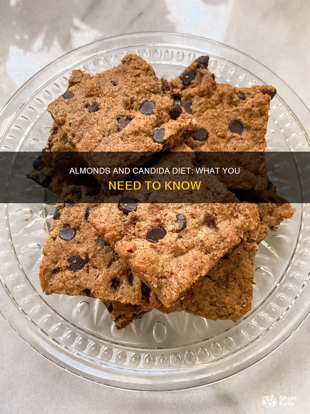 Almonds And Candida Diet: What You Need To Know | ShunKeto