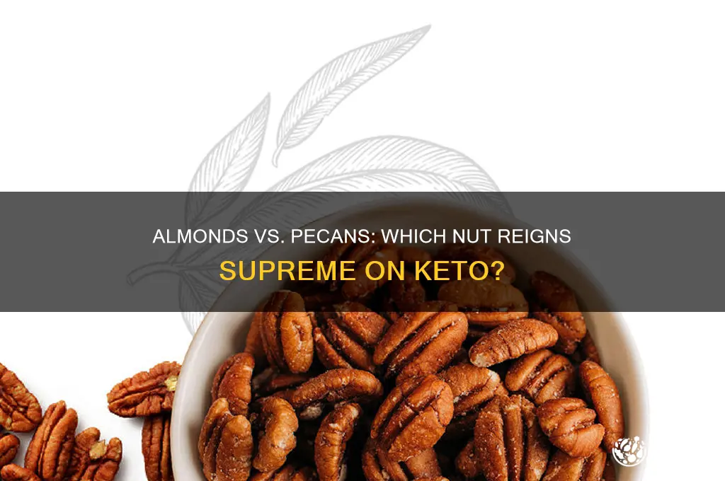 Almonds Vs. Pecans: Which Nut Reigns Supreme On Keto? | ShunKeto