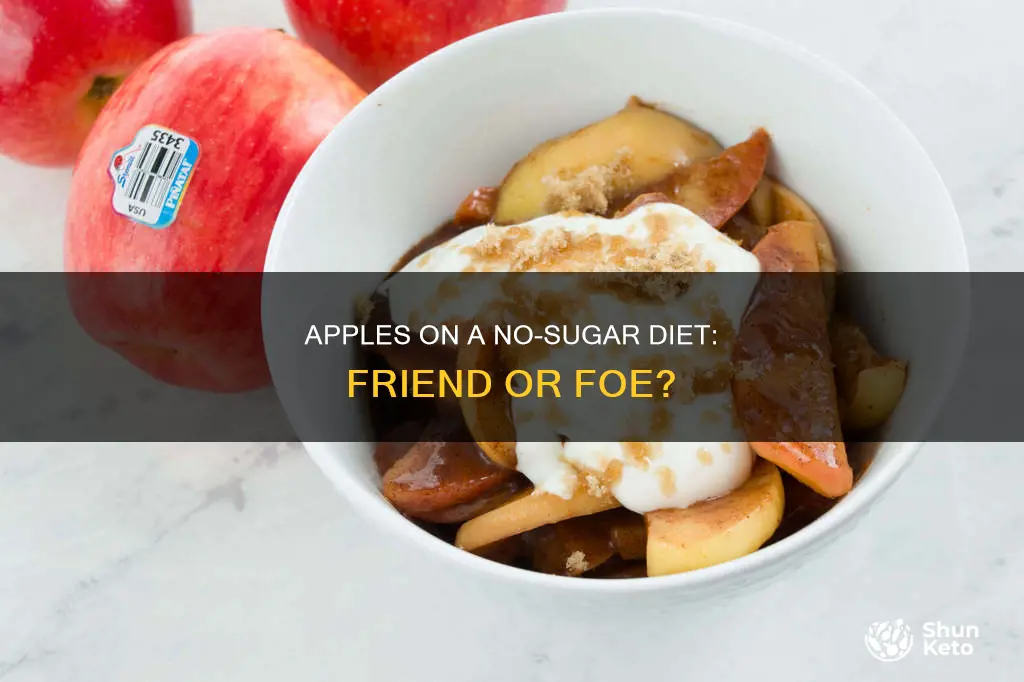 Apples On A No-Sugar Diet: Friend Or Foe? | ShunKeto