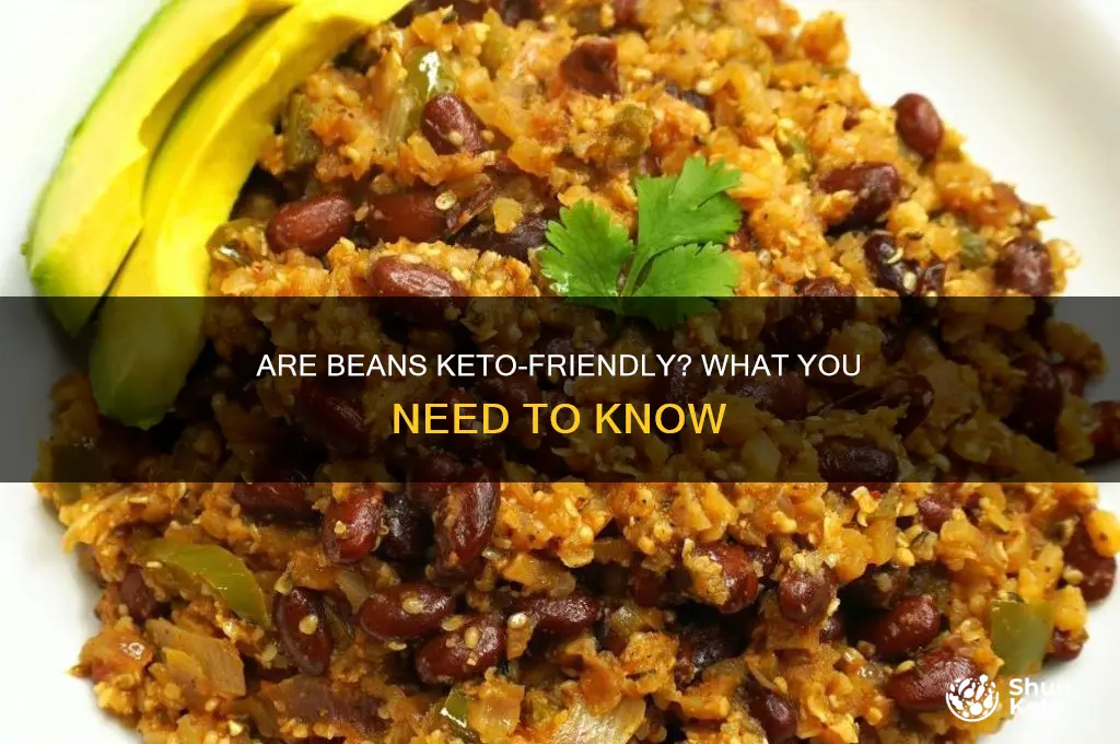 Are Beans Keto-Friendly? What You Need To Know | ShunKeto