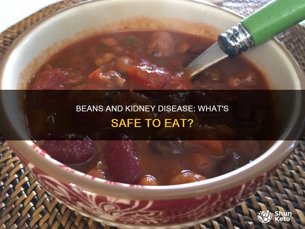 Beans And Kidney Disease: What's Safe To Eat? | ShunKeto