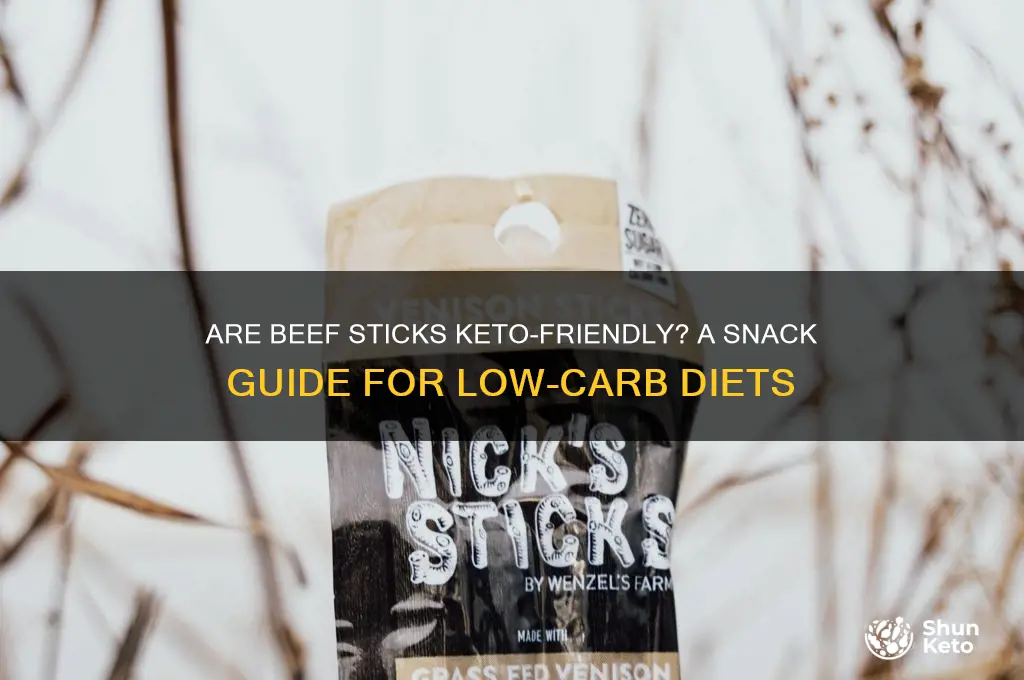 Are Beef Sticks Keto-Friendly? A Snack Guide For Low-Carb Diets | ShunKeto