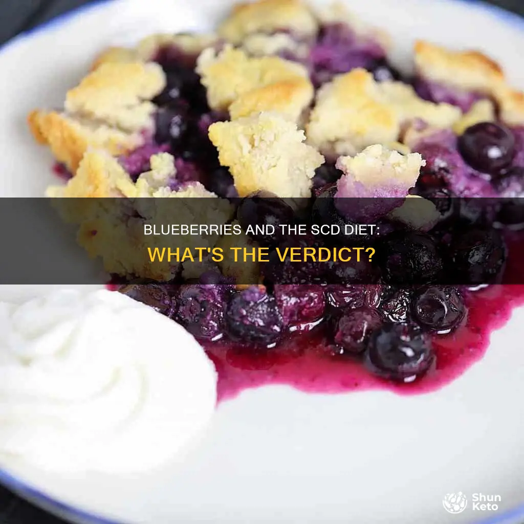 Blueberries And The Scd Diet: What's The Verdict? | ShunKeto