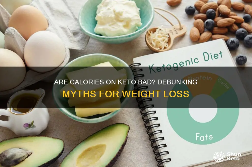 Are Calories On Keto Bad? Debunking Myths For Weight Loss | ShunKeto