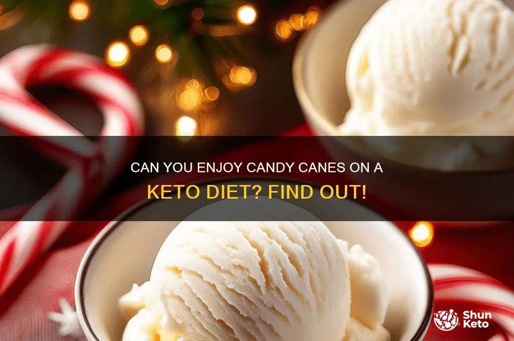 Can You Enjoy Candy Canes On A Keto Diet? Find Out! | ShunKeto
