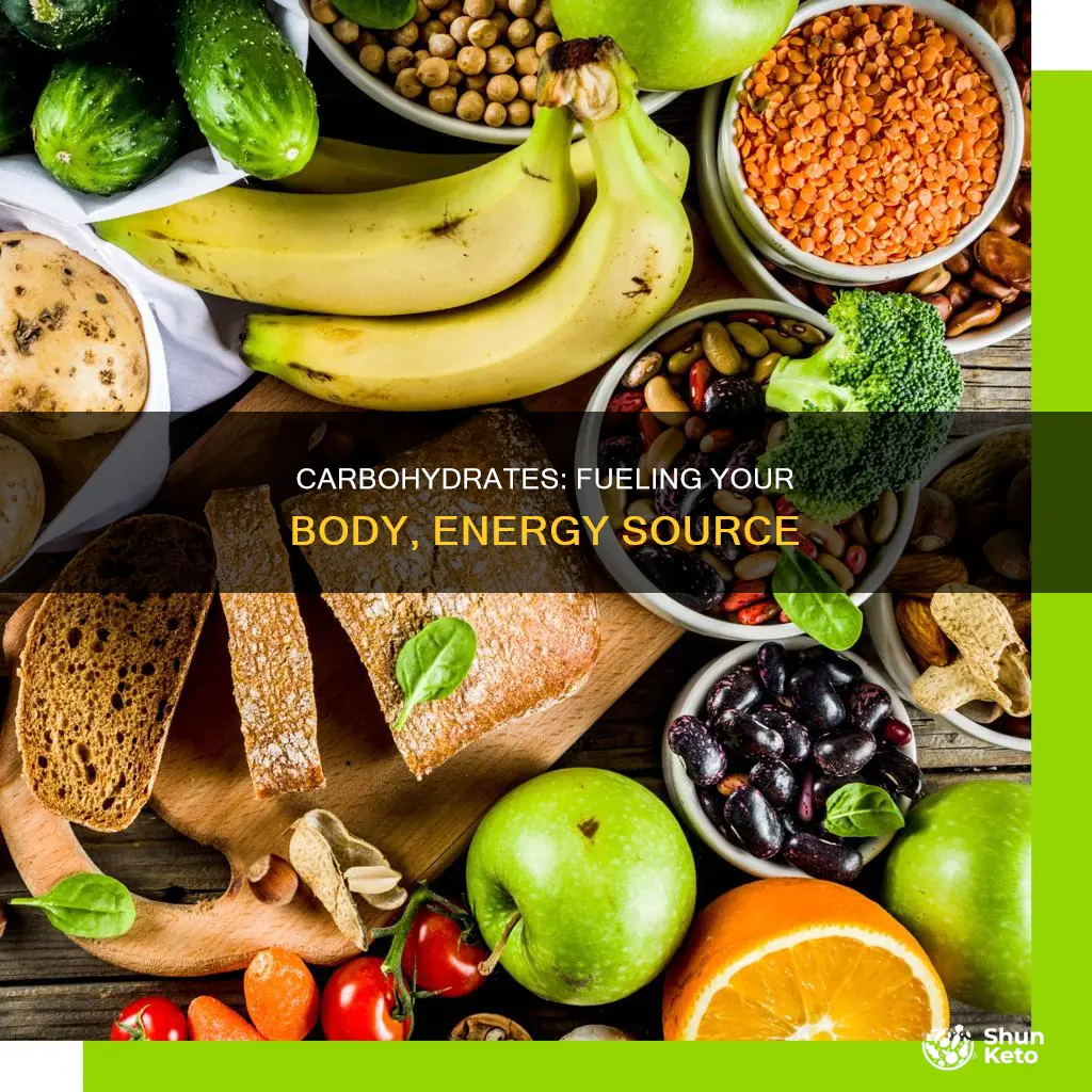 Carbohydrates: Fueling Your Body, Energy Source | ShunKeto