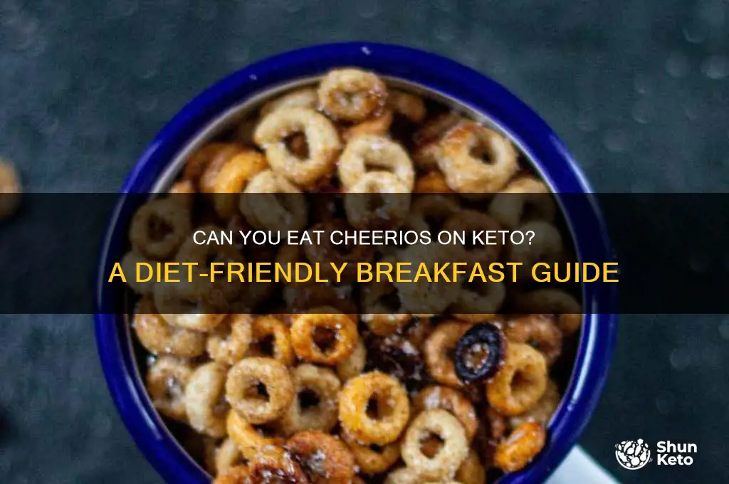 Can You Eat Cheerios On Keto? A Diet-Friendly Breakfast Guide | ShunKeto