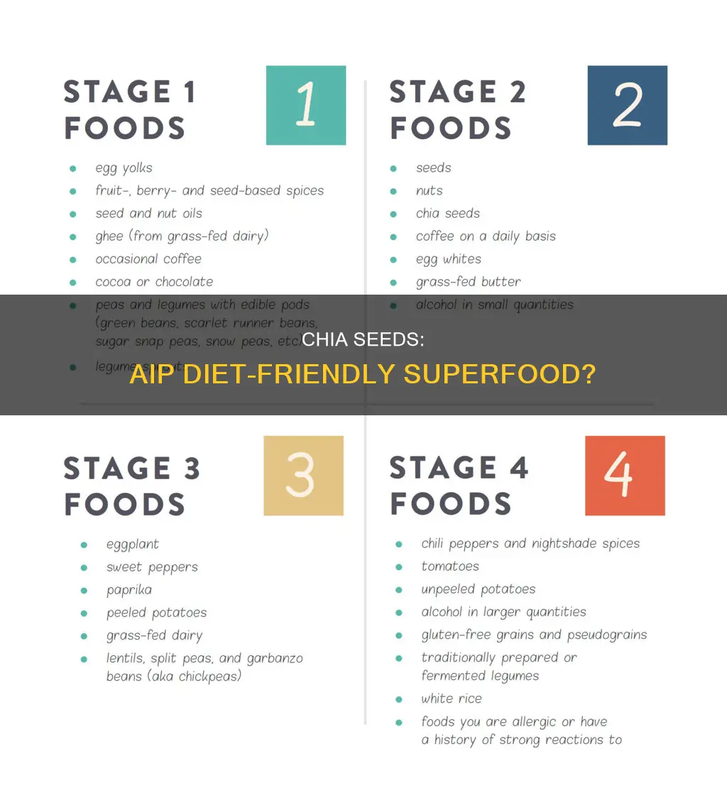 Chia Seeds: Aip Diet-Friendly Superfood? | ShunKeto