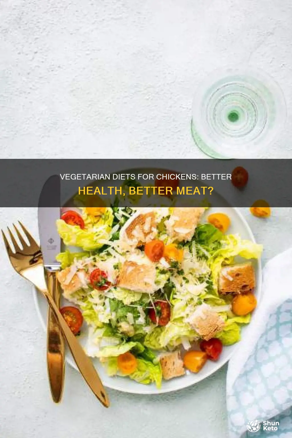 Vegetarian Diets For Chickens: Better Health, Better Meat? | ShunKeto