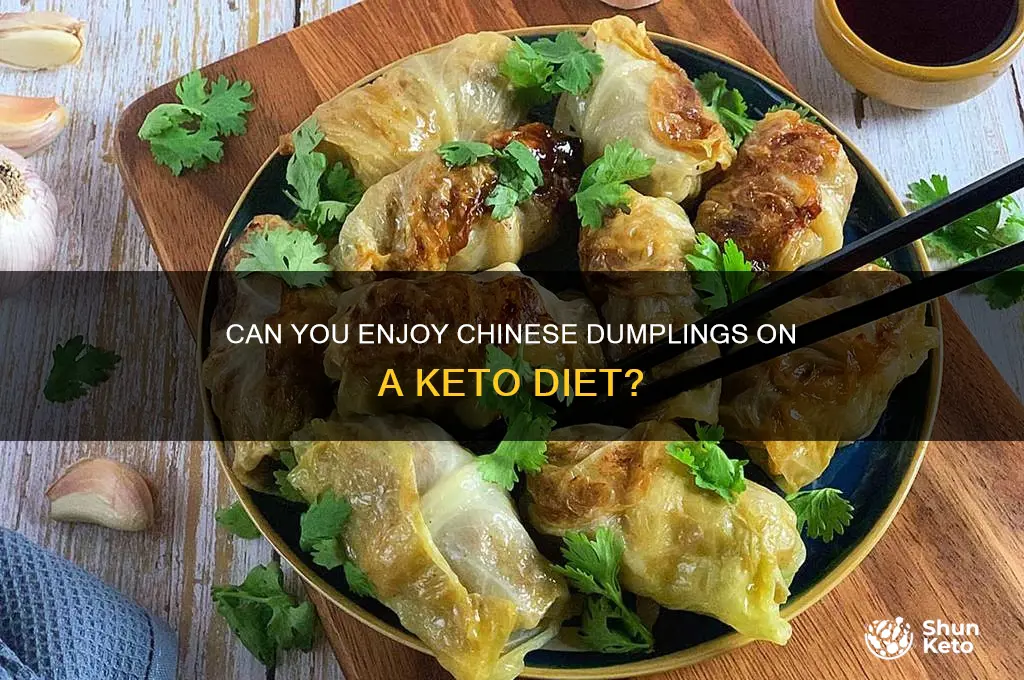 Can You Enjoy Chinese Dumplings On A Keto Diet? | ShunKeto