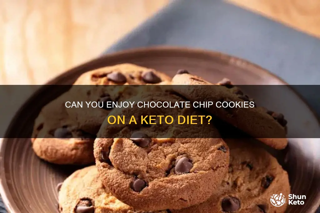 Can You Enjoy Chocolate Chip Cookies On A Keto Diet? | ShunKeto