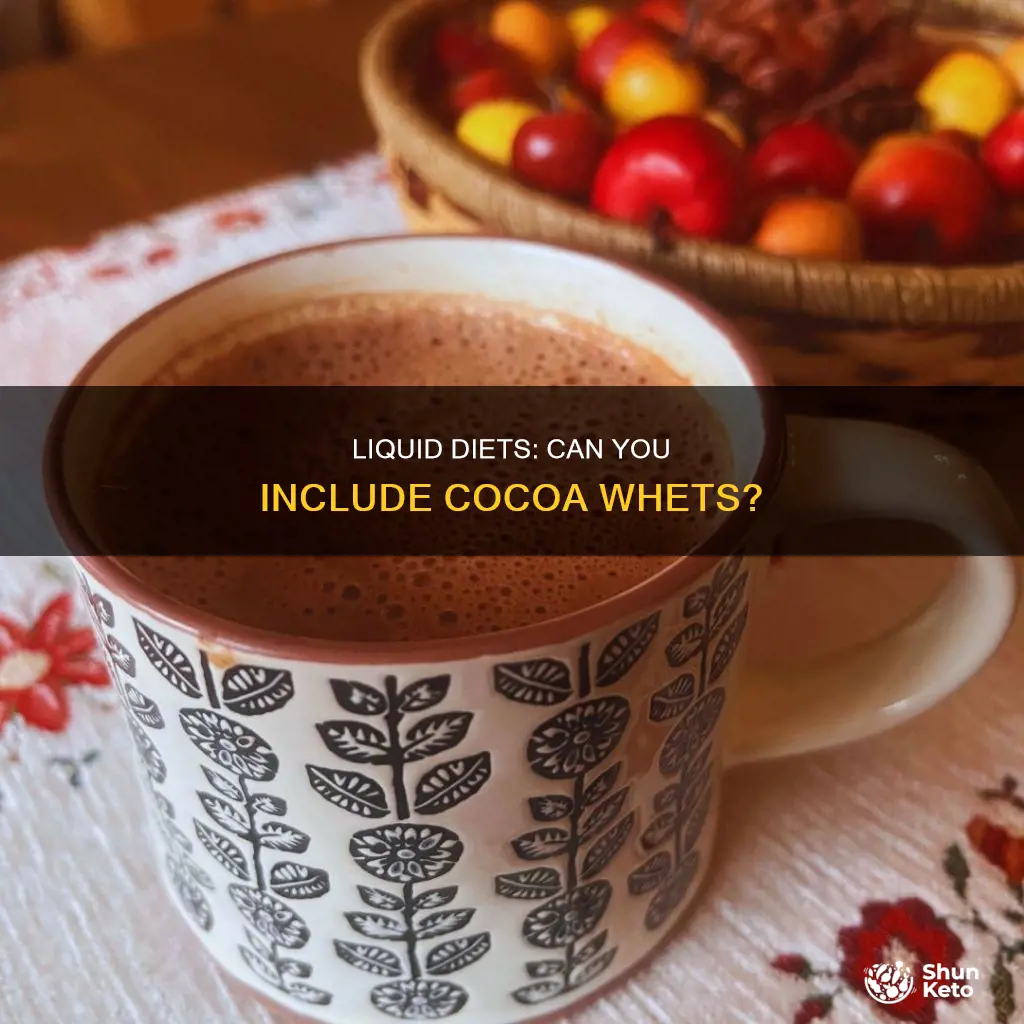 Liquid Diets: Can You Include Cocoa Whets? | ShunKeto