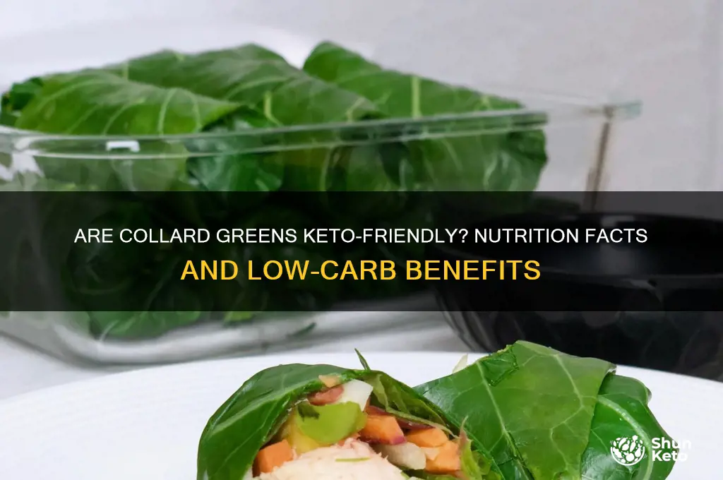 Are Collard Greens Keto-Friendly? Nutrition Facts And Low-Carb Benefits ...