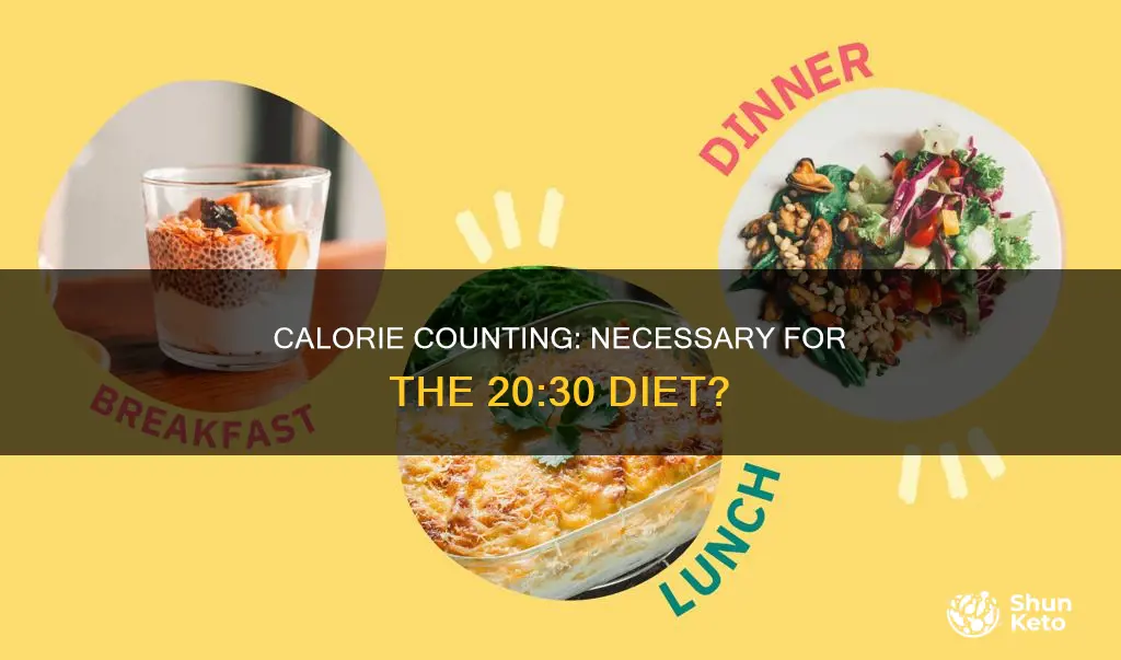 Calorie Counting: Necessary For The 20:30 Diet? | ShunKeto
