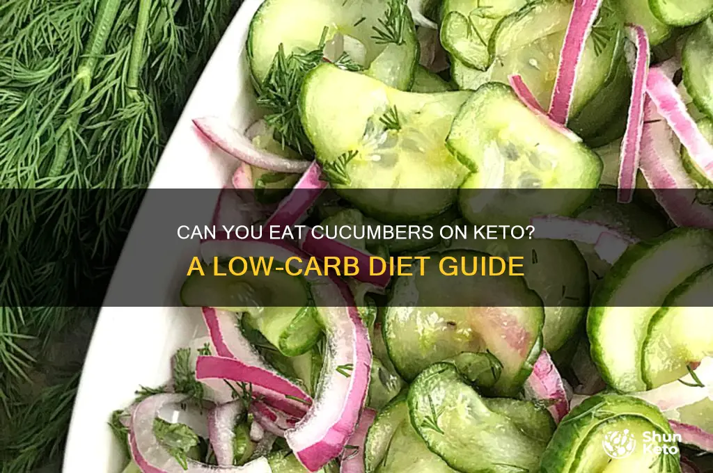 Can You Eat Cucumbers On Keto? A Low-Carb Diet Guide | ShunKeto