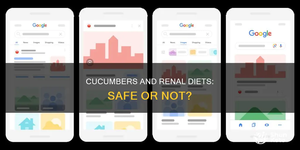 Cucumbers And Renal Diets: Safe Or Not? | ShunKeto
