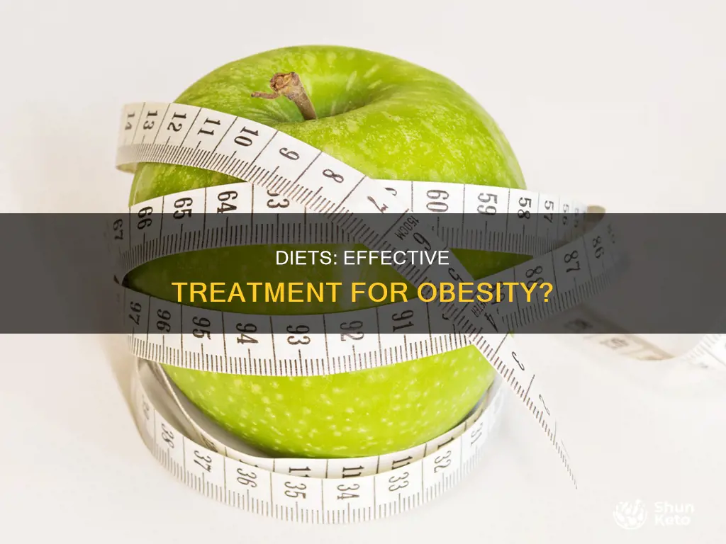 Diets: Effective Treatment For Obesity? | ShunKeto
