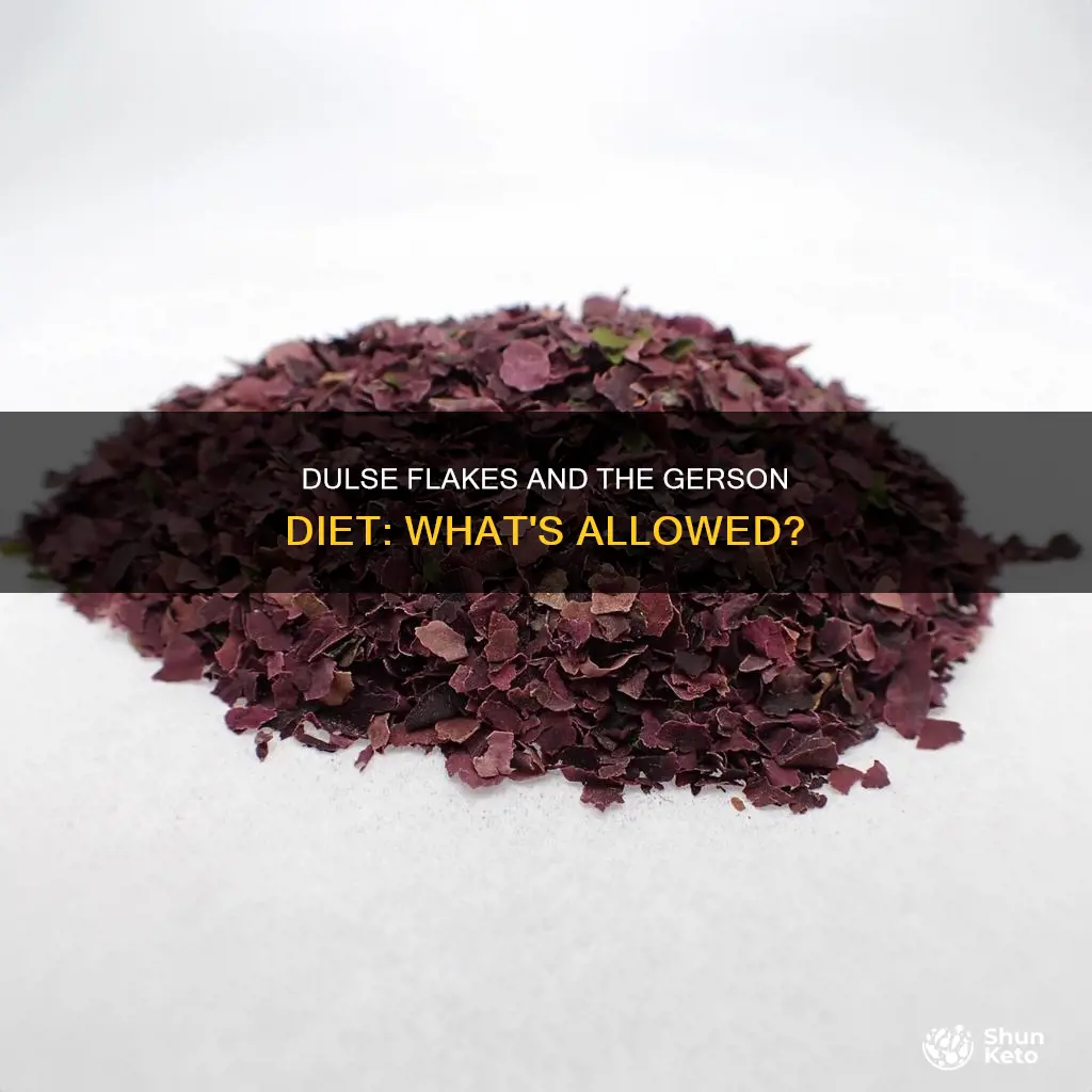 Dulse Flakes And The Gerson Diet: What's Allowed? | ShunKeto