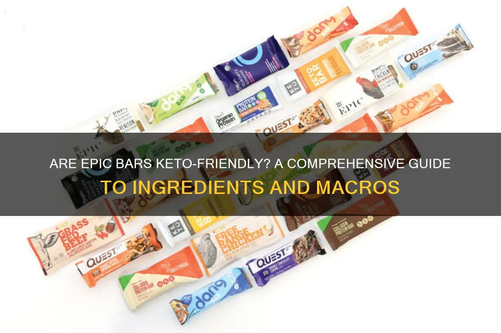 Are Epic Bars Keto-Friendly? A Comprehensive Guide To Ingredients And ...