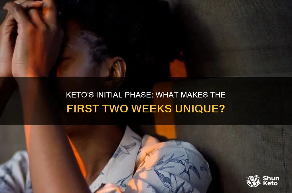 Keto's Initial Phase: What Makes The First Two Weeks Unique? | ShunKeto