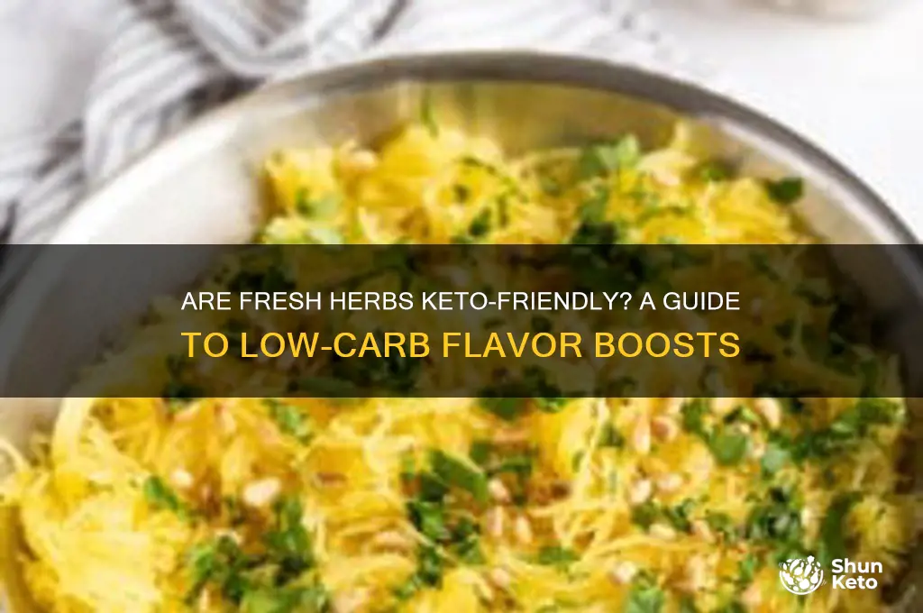 Are Fresh Herbs Keto-Friendly? A Guide To Low-Carb Flavor Boosts | ShunKeto