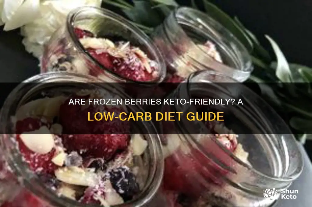 Are Frozen Berries Keto-Friendly? A Low-Carb Diet Guide | ShunKeto