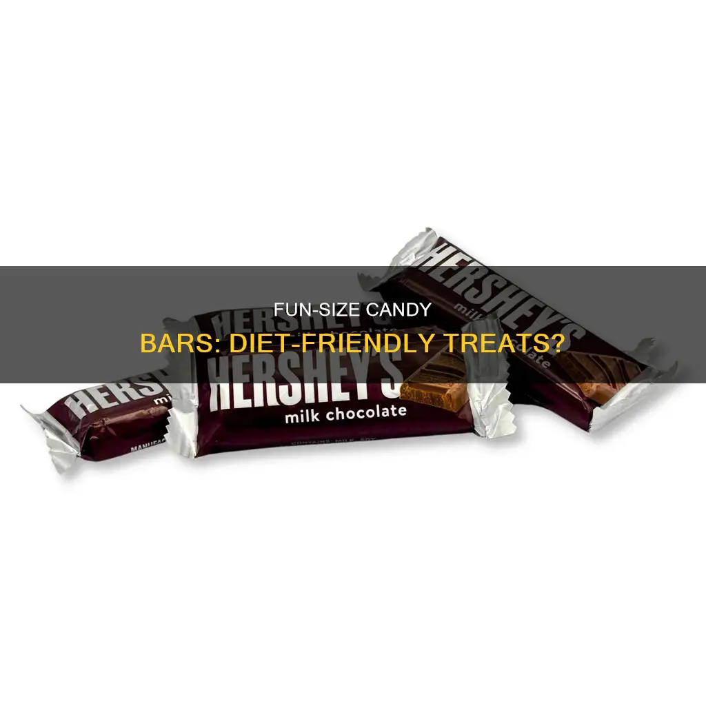 Fun-Size Candy Bars: Diet-Friendly Treats? | ShunKeto