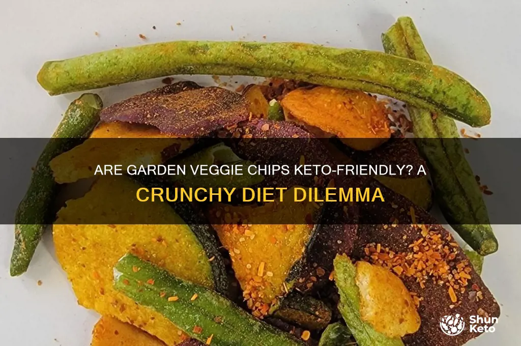 Are Garden Veggie Chips Keto-Friendly? A Crunchy Diet Dilemma | ShunKeto