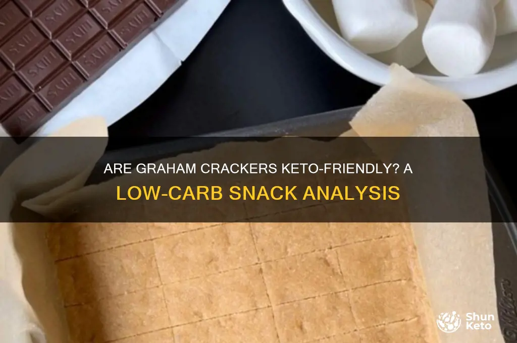 Are Graham Crackers Keto-Friendly? A Low-Carb Snack Analysis | ShunKeto