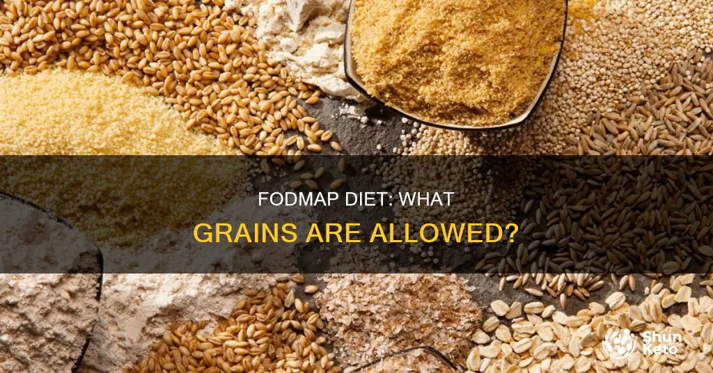 Fodmap Diet: What Grains Are Allowed? | ShunKeto