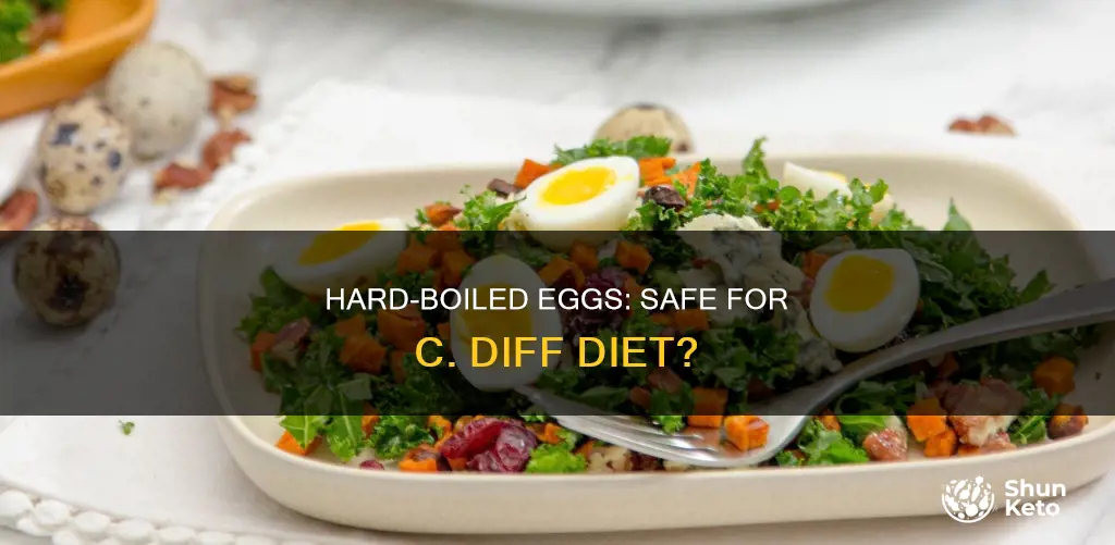 Hard-Boiled Eggs: Safe For C. Diff Diet? | ShunKeto