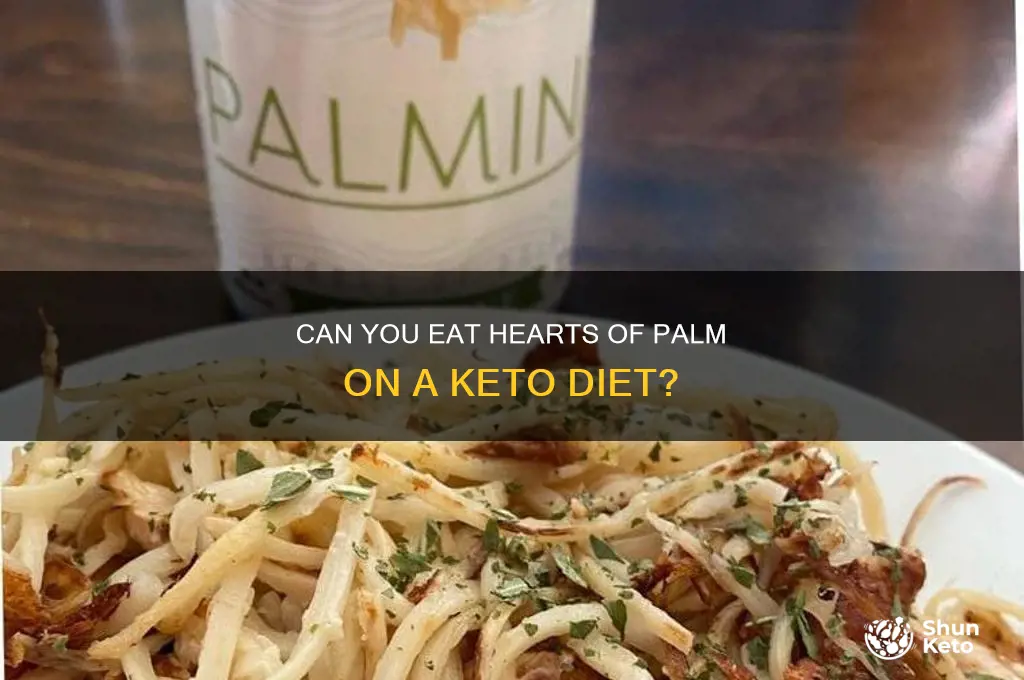 Can You Eat Hearts Of Palm On A Keto Diet? | ShunKeto