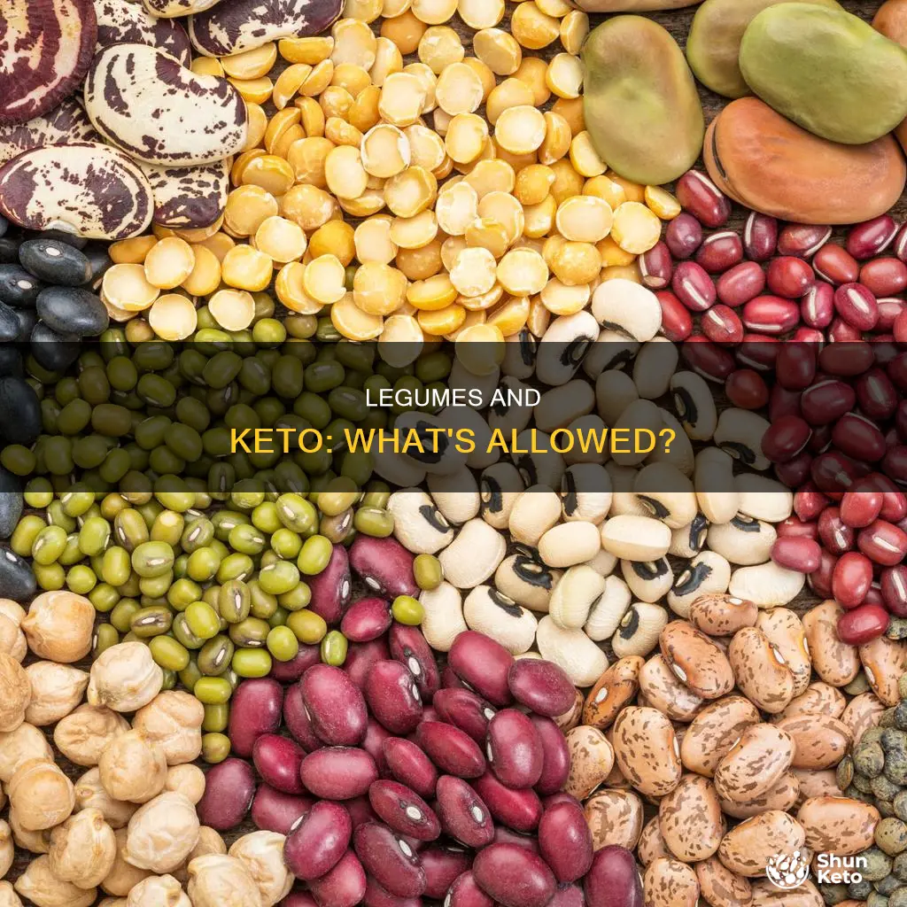 Legumes And Keto: What's Allowed? | ShunKeto