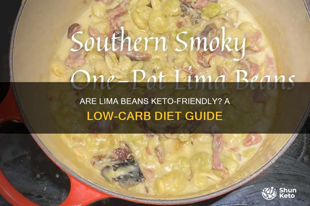 Are Lima Beans Keto-Friendly? A Low-Carb Diet Guide | ShunKeto