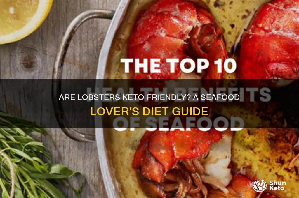 Are Lobsters Keto-Friendly? A Seafood Lover's Diet Guide | ShunKeto