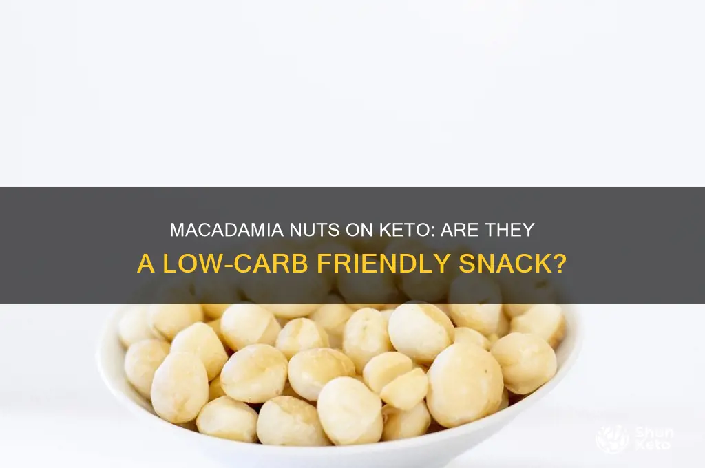 Macadamia Nuts On Keto: Are They A Low-Carb Friendly Snack? | ShunKeto