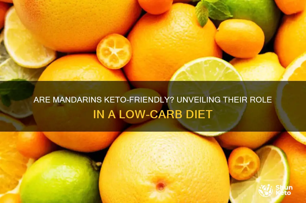 Are Mandarins Keto-Friendly? Unveiling Their Role In A Low-Carb Diet ...