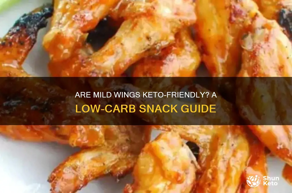 Are Mild Wings Keto-Friendly? A Low-Carb Snack Guide | ShunKeto