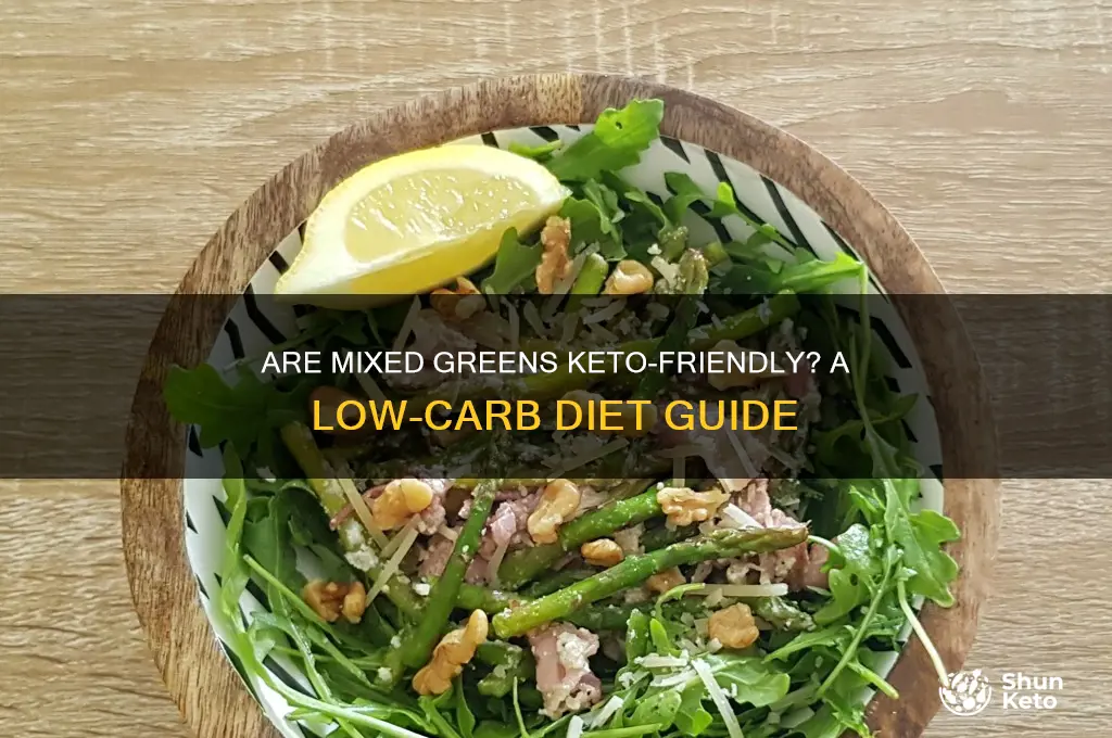 Are Mixed Greens Keto-Friendly? A Low-Carb Diet Guide | ShunKeto