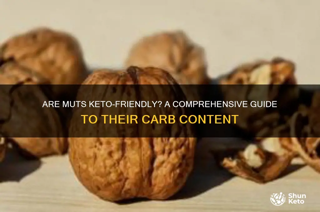 Are Muts Keto-Friendly? A Comprehensive Guide To Their Carb Content ...