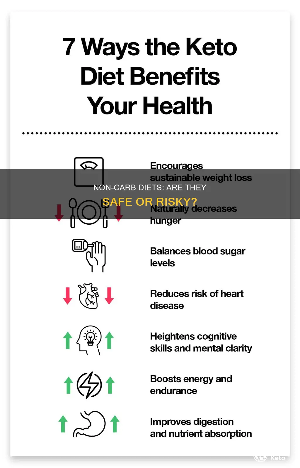 Non-Carb Diets: Are They Safe Or Risky? | ShunKeto