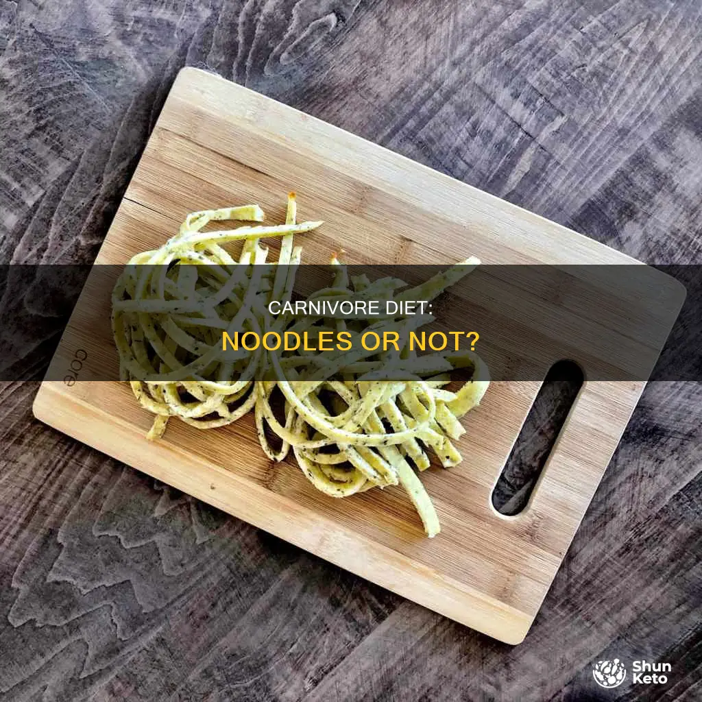 Carnivore Diet: Noodles Or Not? | ShunKeto