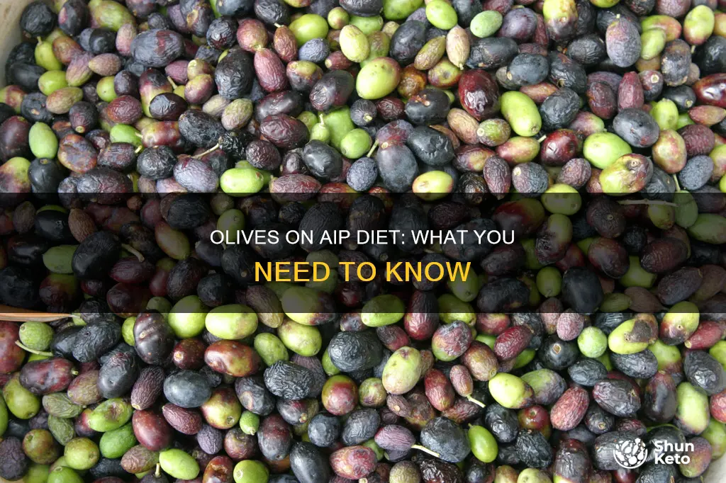 Olives On Aip Diet: What You Need To Know | ShunKeto