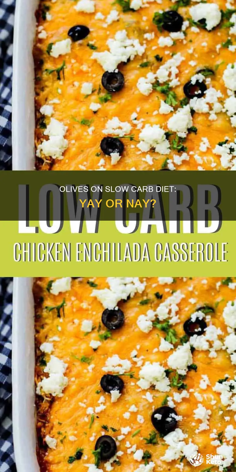 Olives On Slow Carb Diet: Yay Or Nay? | ShunKeto
